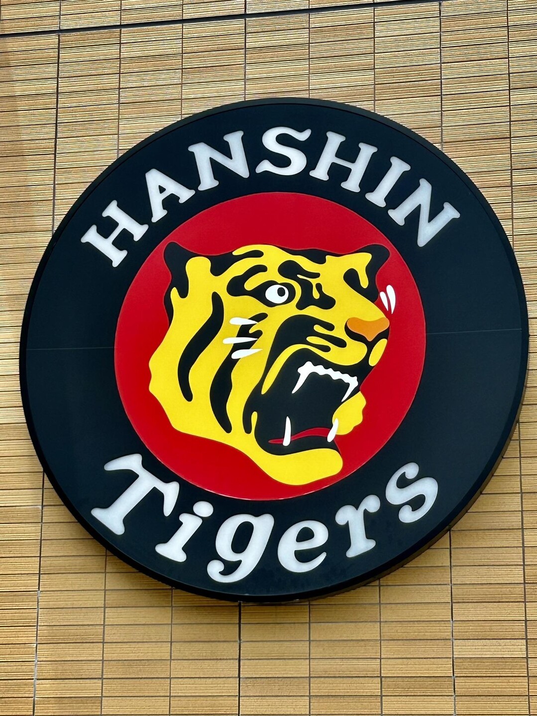 阪神タイガースvs横浜DeNAを今日雨模... / KOBONさんのモーメント | YAMAP / ヤマップ