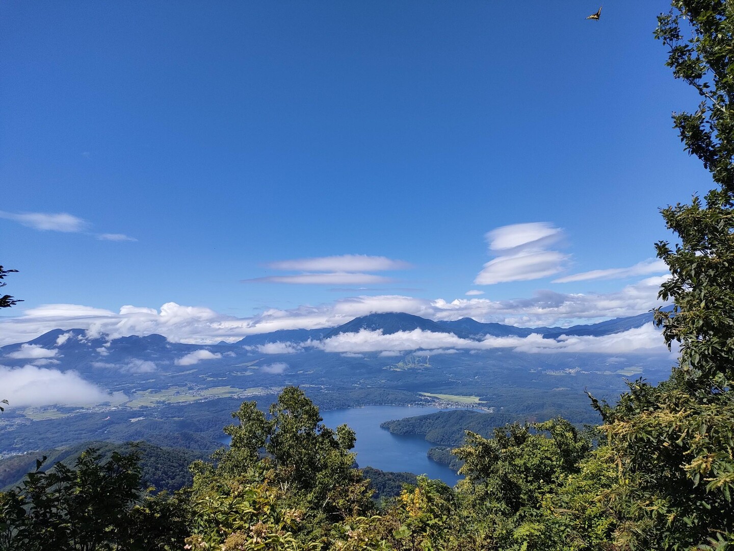 斑尾山・大明神岳 / yanさんの斑尾山・信越トレイル（斑尾山・赤池・希望湖）の活動データ | YAMAP / ヤマップ