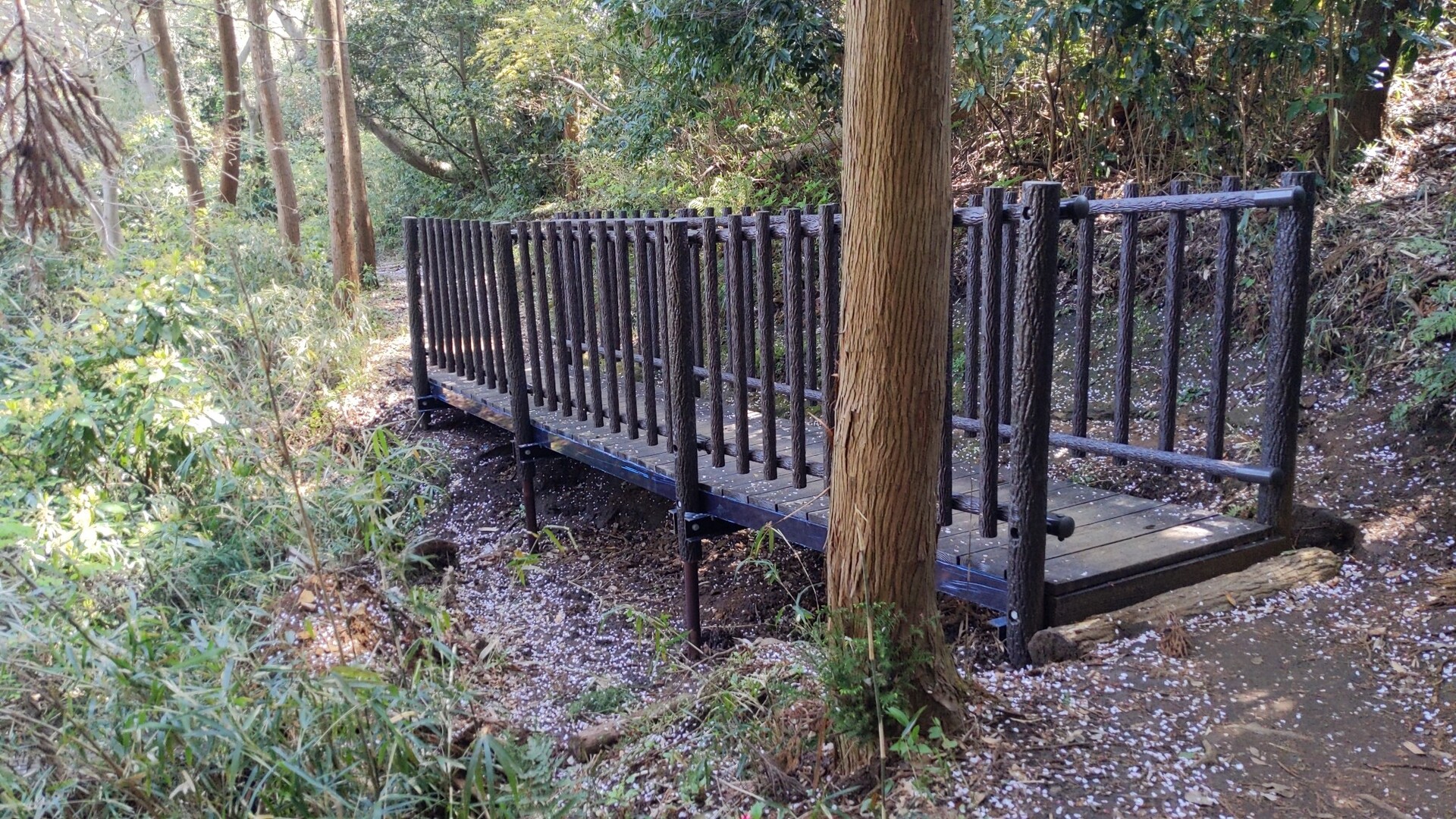 nakameguさんの投稿したフィールドメモ | YAMAP / ヤマップ