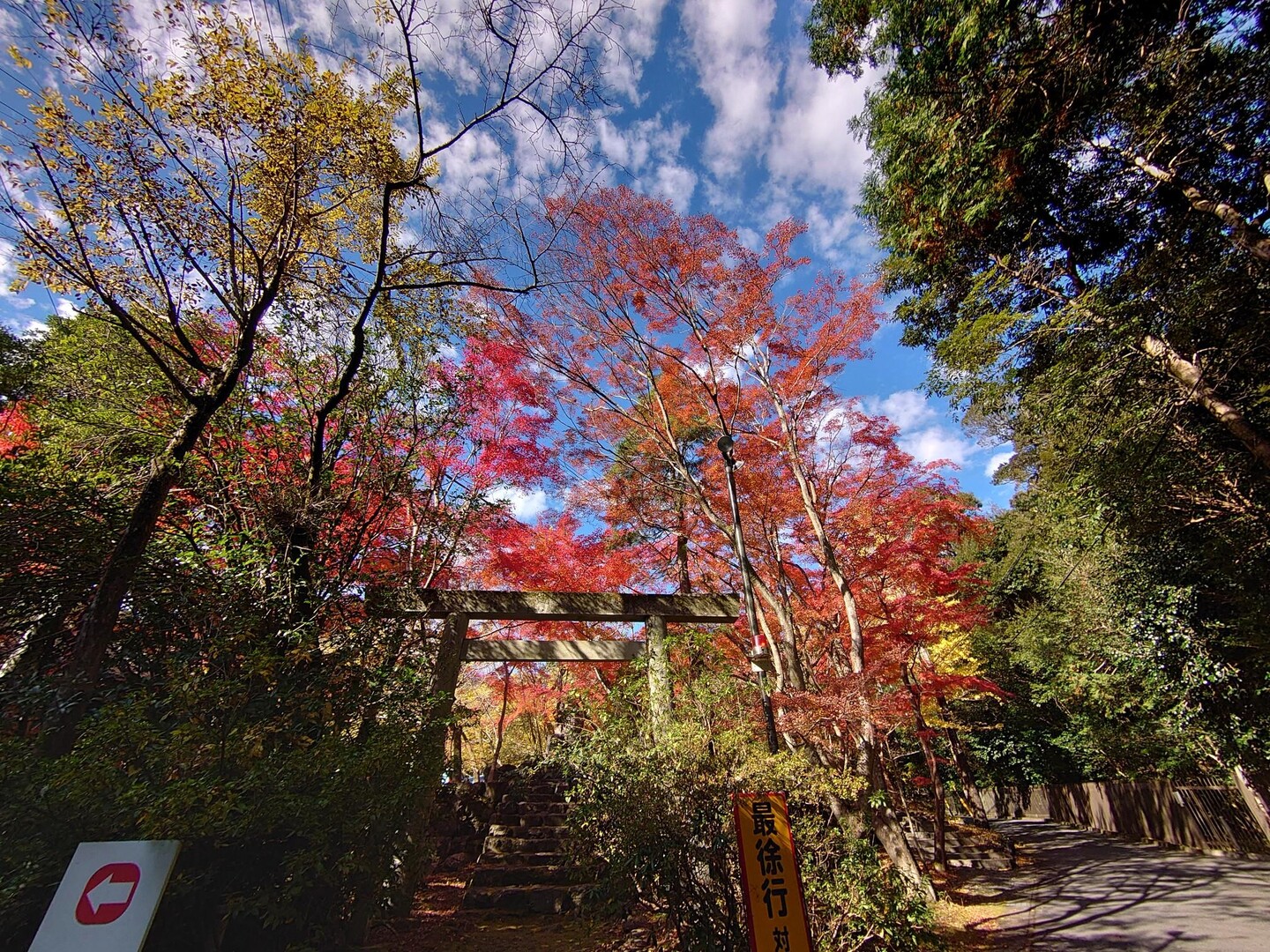 遅入り入道ヶ岳 / MSKさんの入道ヶ岳・鎌ヶ岳・仙ヶ岳の活動データ | YAMAP / ヤマップ