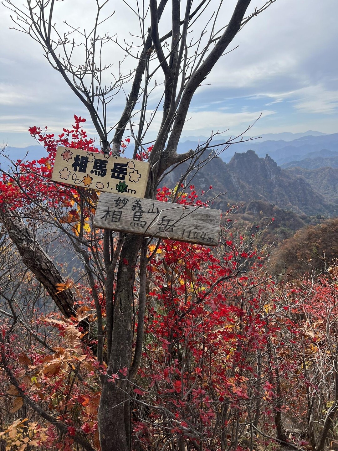 白雲山・妙義山（相馬岳）・東岳・中之岳 / renaさんの妙義山・天狗岳・相馬岳の活動データ | YAMAP / ヤマップ