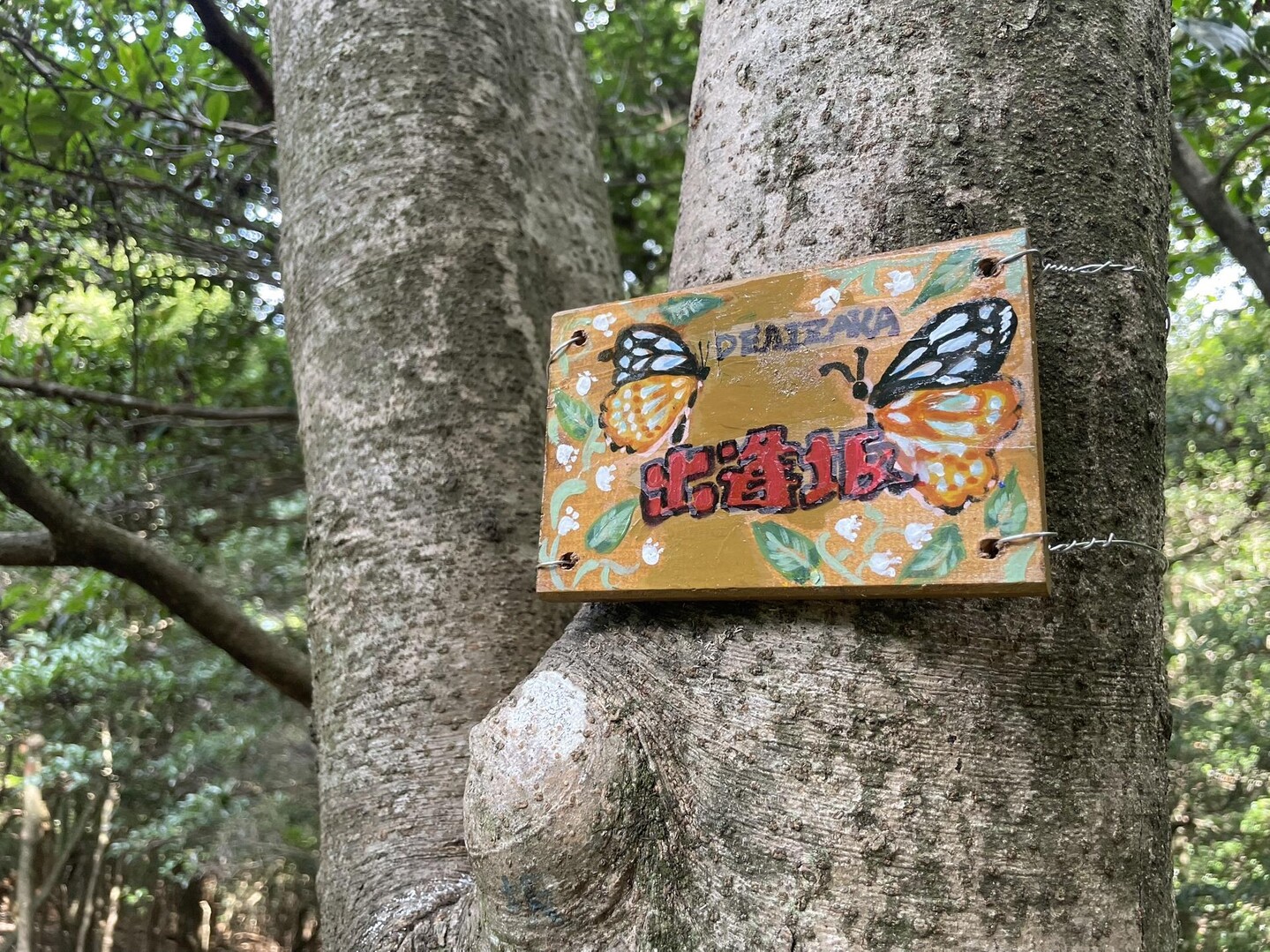 ちょっと下見＆看板探し@裏大文字山 / E.SZさんの大文字山・如意ヶ嶽・稲荷山の活動日記 | YAMAP / ヤマップ