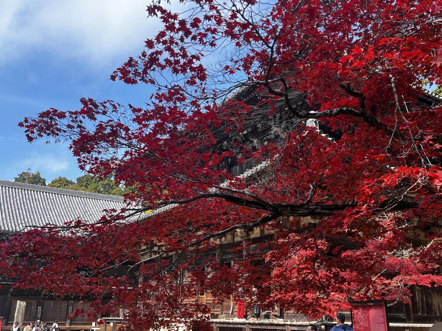 書写山 / idasさんの書写山・伊勢山・とんがり山の活動データ | YAMAP / ヤマップ