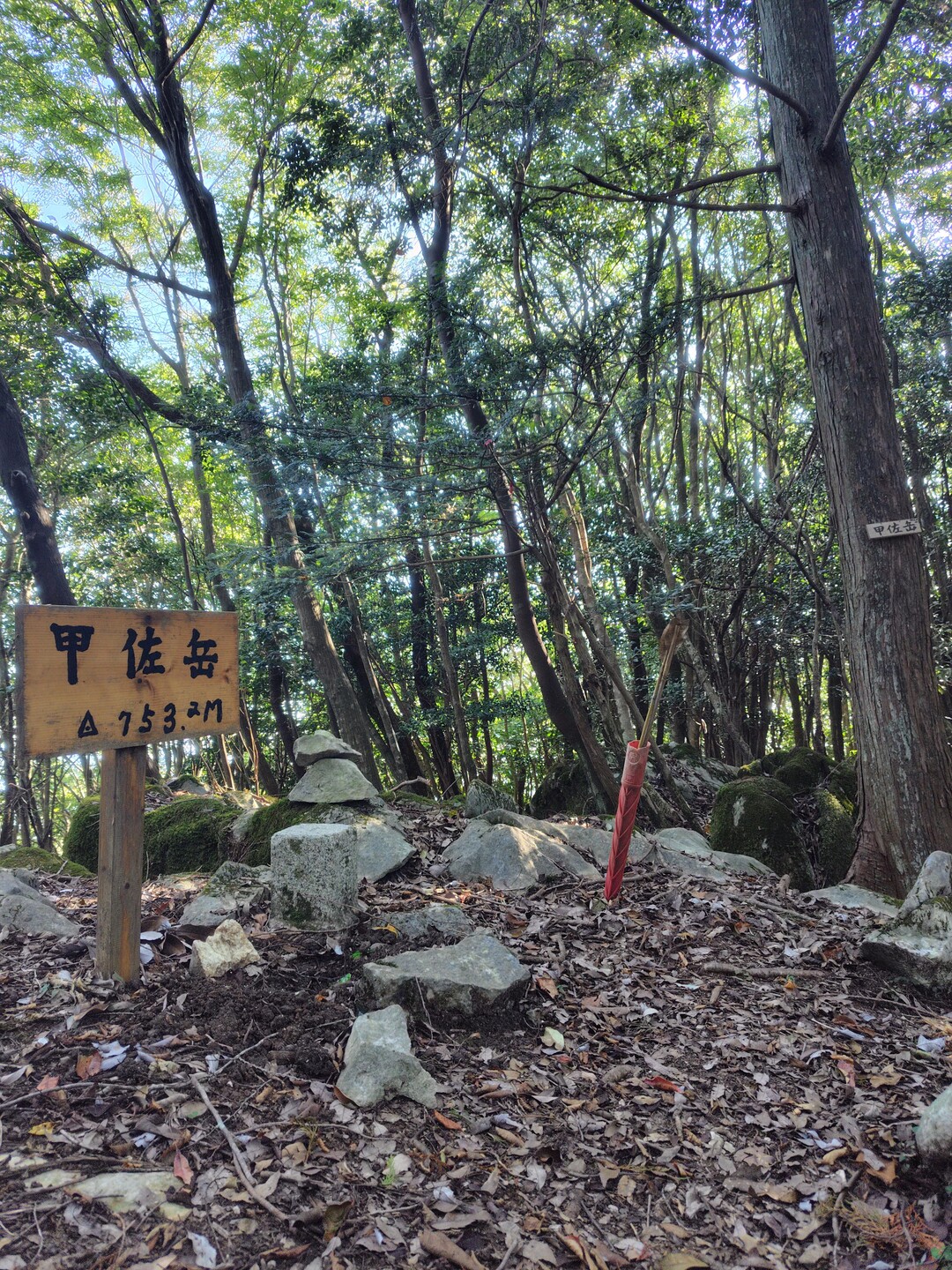 甲佐岳 / enoさんの甲佐岳の活動データ | YAMAP / ヤマップ