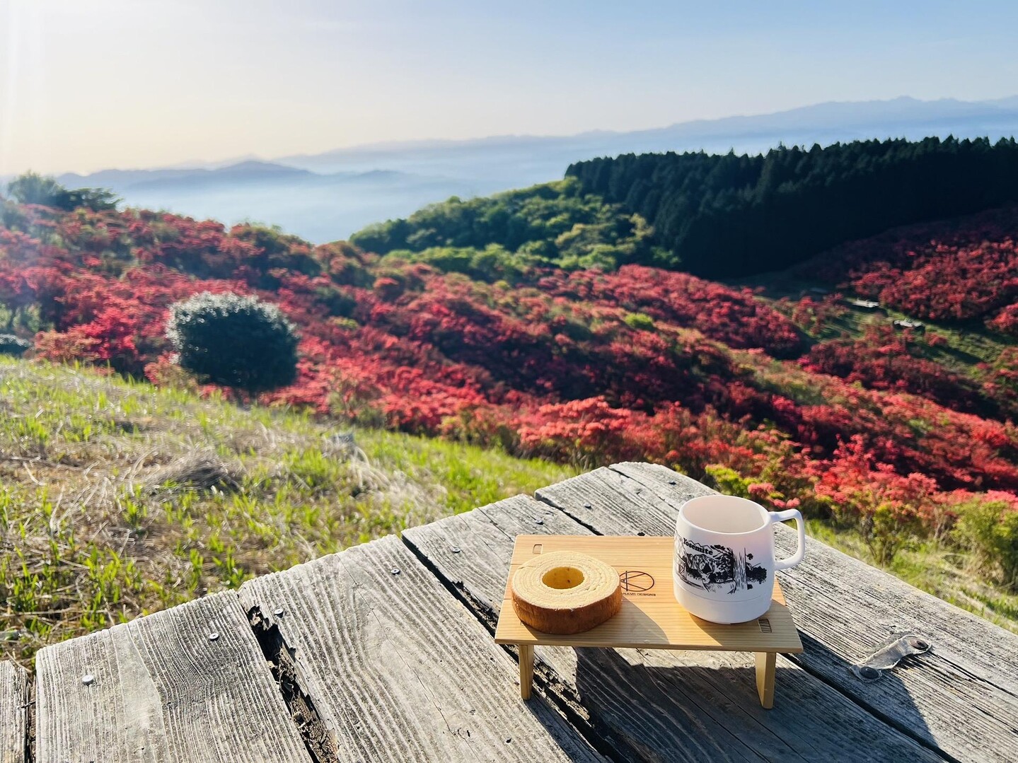 大和葛城山 / sa⑅ ̈*さんの金剛山・二上山・大和葛城山の活動データ | YAMAP / ヤマップ