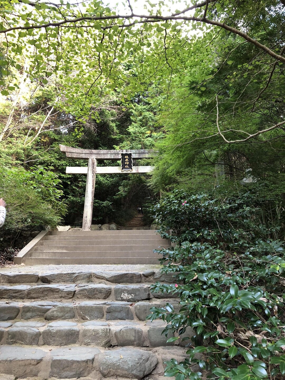 ASK🏃‍♂️本宮山⛰83.84 / スカじいさんの本宮山・大日山・風頭山の活動日記 | YAMAP / ヤマップ