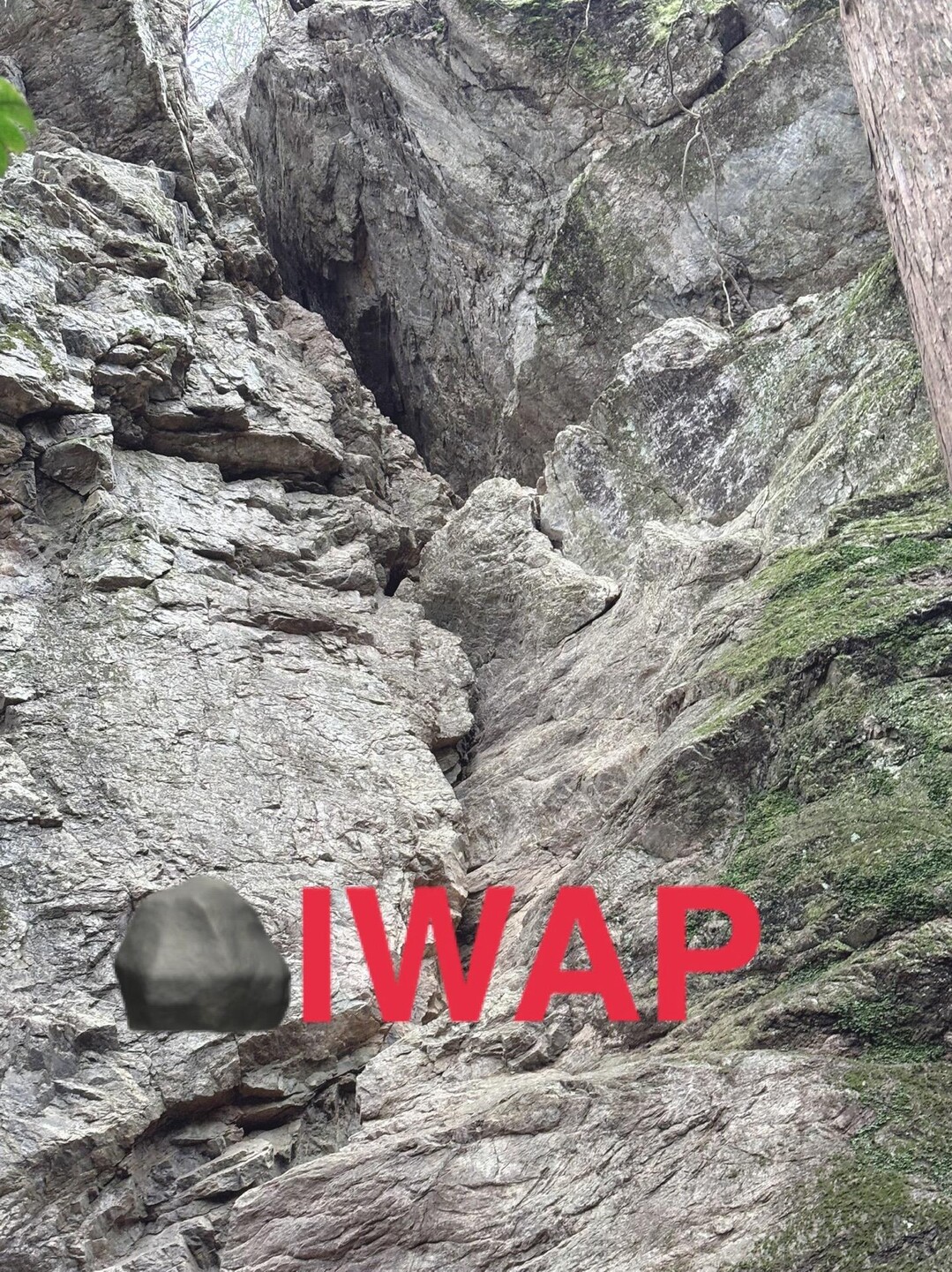 ホッとした案件と🪨IWAP / GanjaEX🐕さんの関八州見晴台の活動データ | YAMAP / ヤマップ