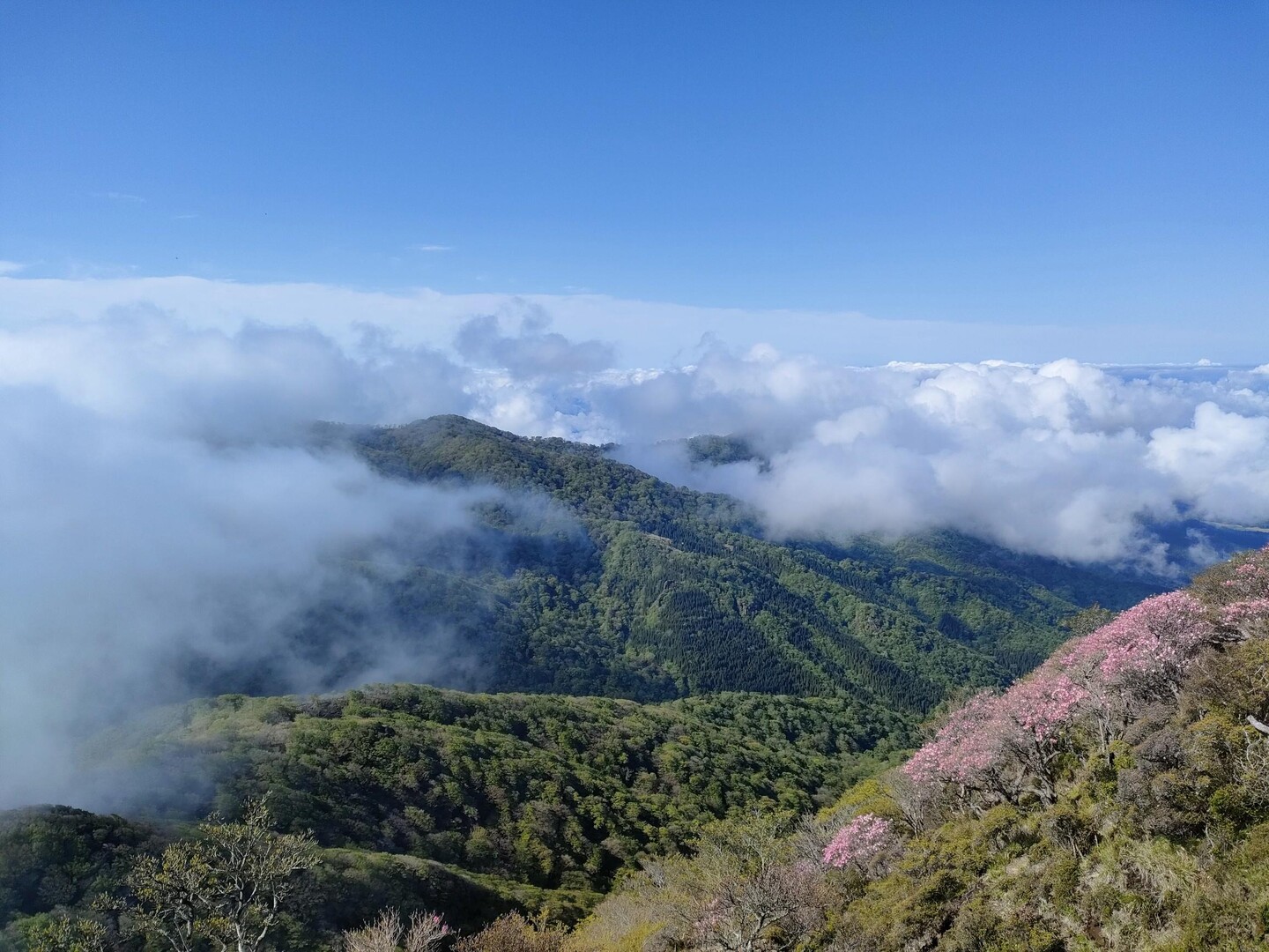 祖母山 / YukARi*さんの祖母山の活動データ | YAMAP / ヤマップ