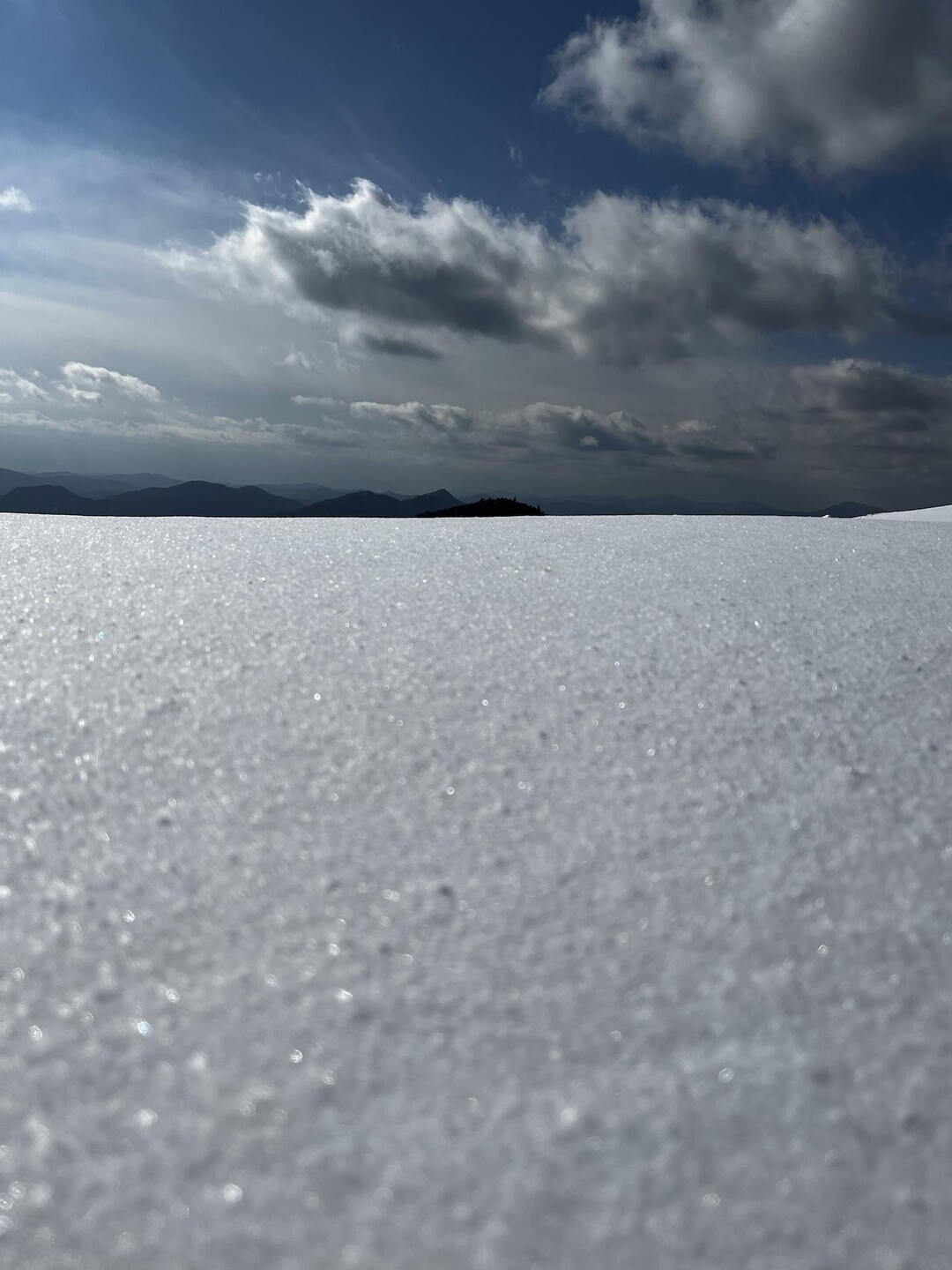 花尾山 / MICさんの花尾山の活動データ | YAMAP / ヤマップ
