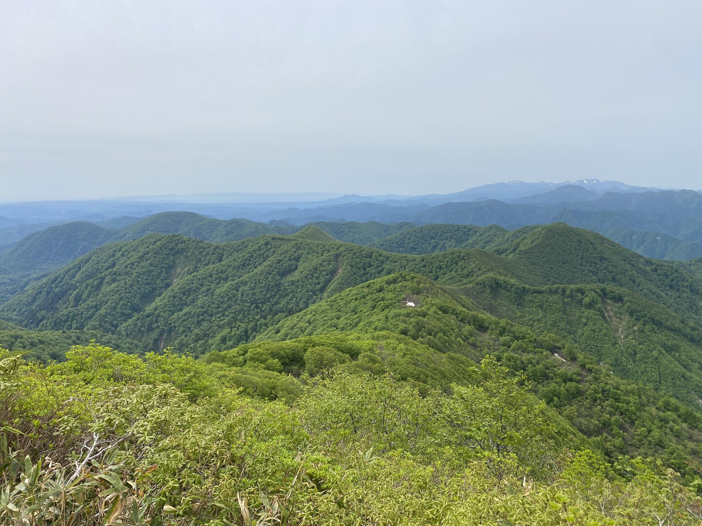 【白髪山・前白髪山・奥戸立山・奥寒風山・寒風山・アオノ背・コブノ背】ばっけロードプチ縦走 / R_MAXさんの船形山（御所山）・泉ヶ岳・蛇ヶ岳の活動日記 | YAMAP / ヤマップ