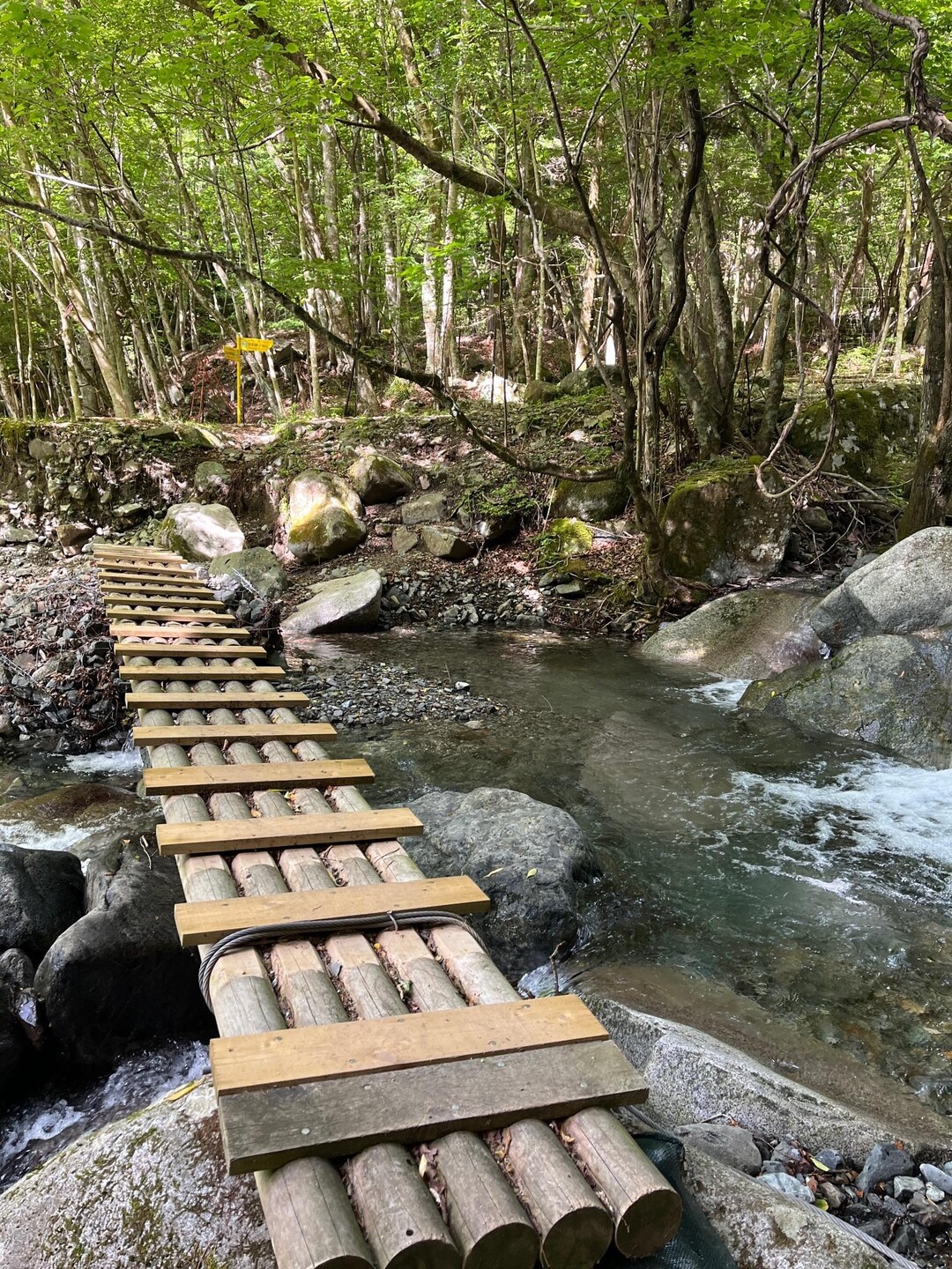 西丹沢VC〜用木沢出会〜白石峠〜畦ヶ丸〜西丹沢VC / kokkoさんの塔ノ岳・丹沢山・蛭ヶ岳の活動データ | YAMAP / ヤマップ