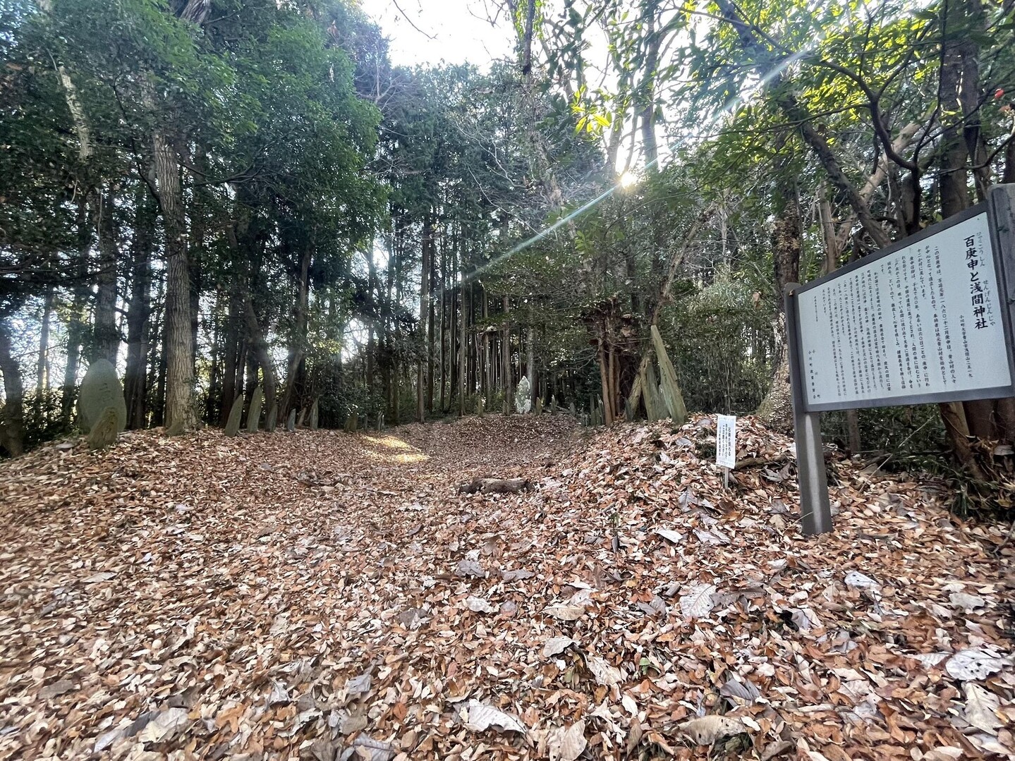 hideshanさんの投稿したフィールドメモ | YAMAP / ヤマップ