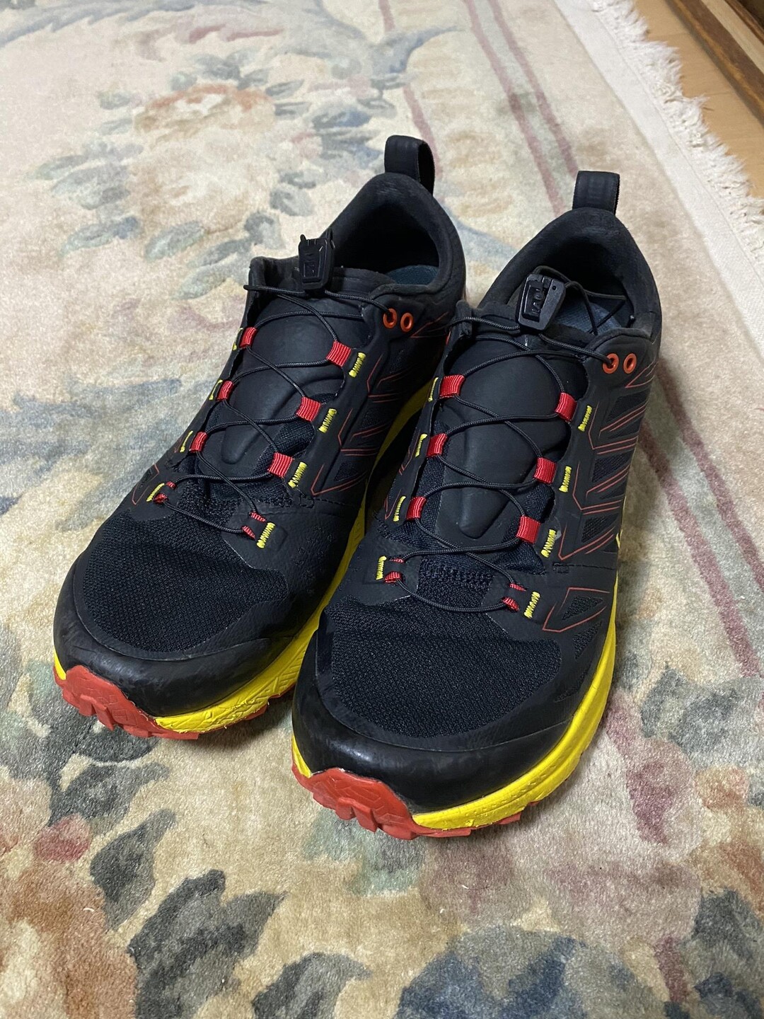 SALOMON pulsar Trail... / oniraさんのモーメント | YAMAP / ヤマップ