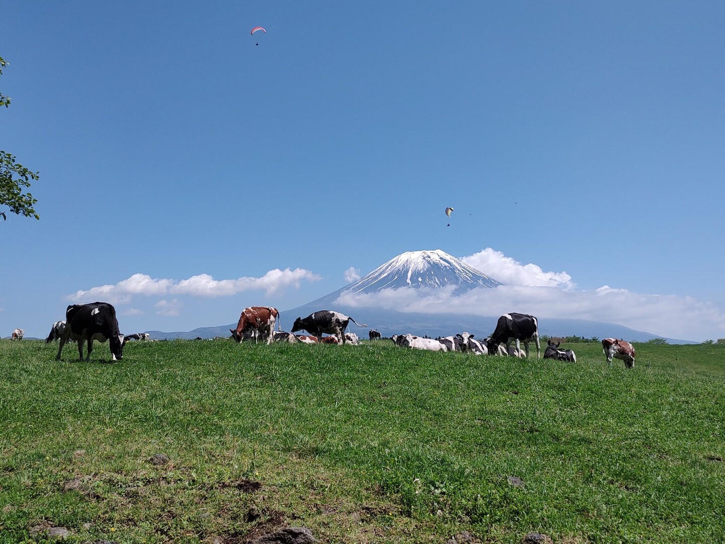 富士山ロングトレイル(170キロ)を踏破(2日目) / baruさんの長者ヶ岳・天子ヶ岳の活動データ | YAMAP / ヤマップ