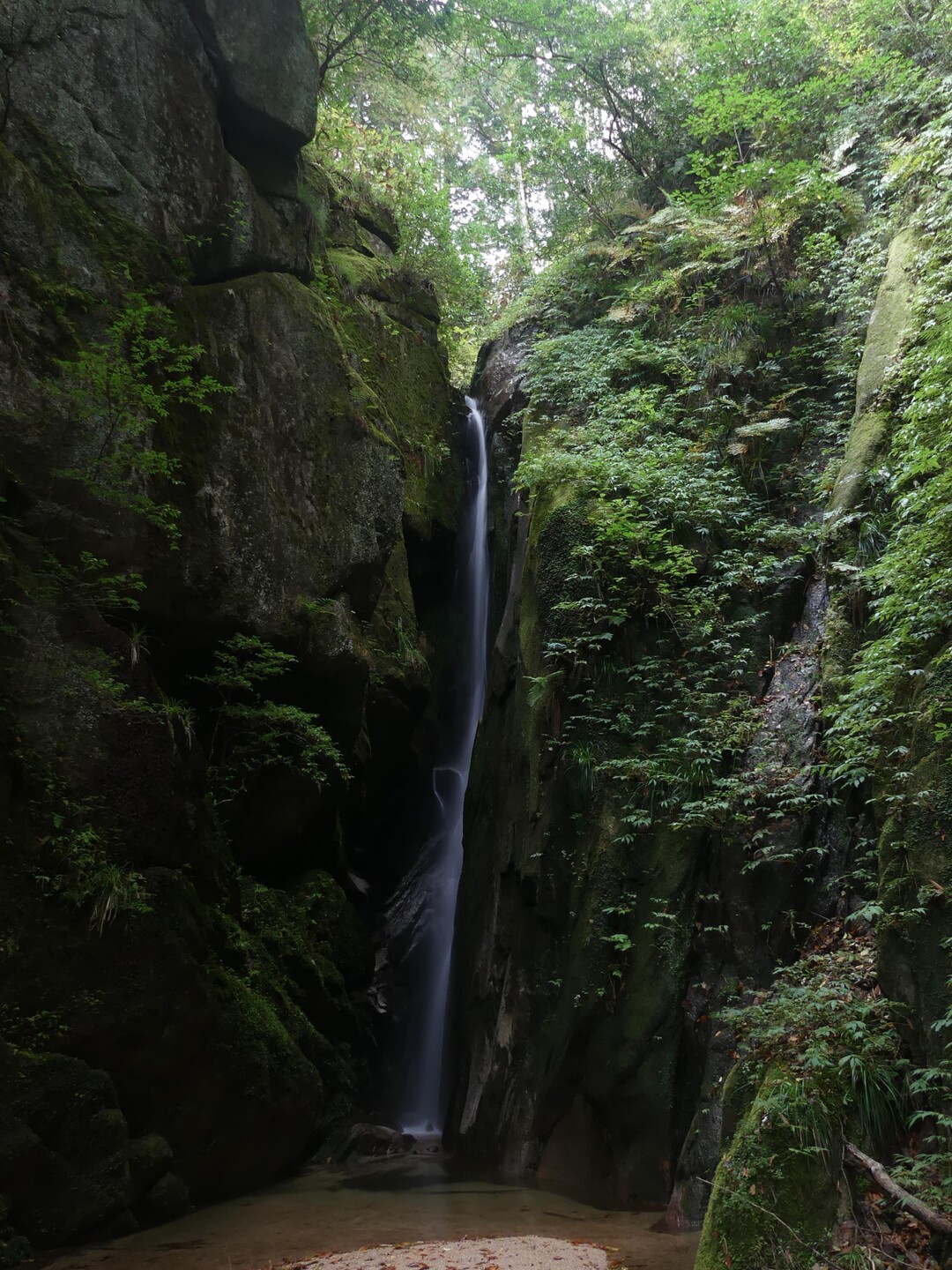 玉峰山 / KAZU3さんの船通山・玉峰山の活動データ | YAMAP / ヤマップ
