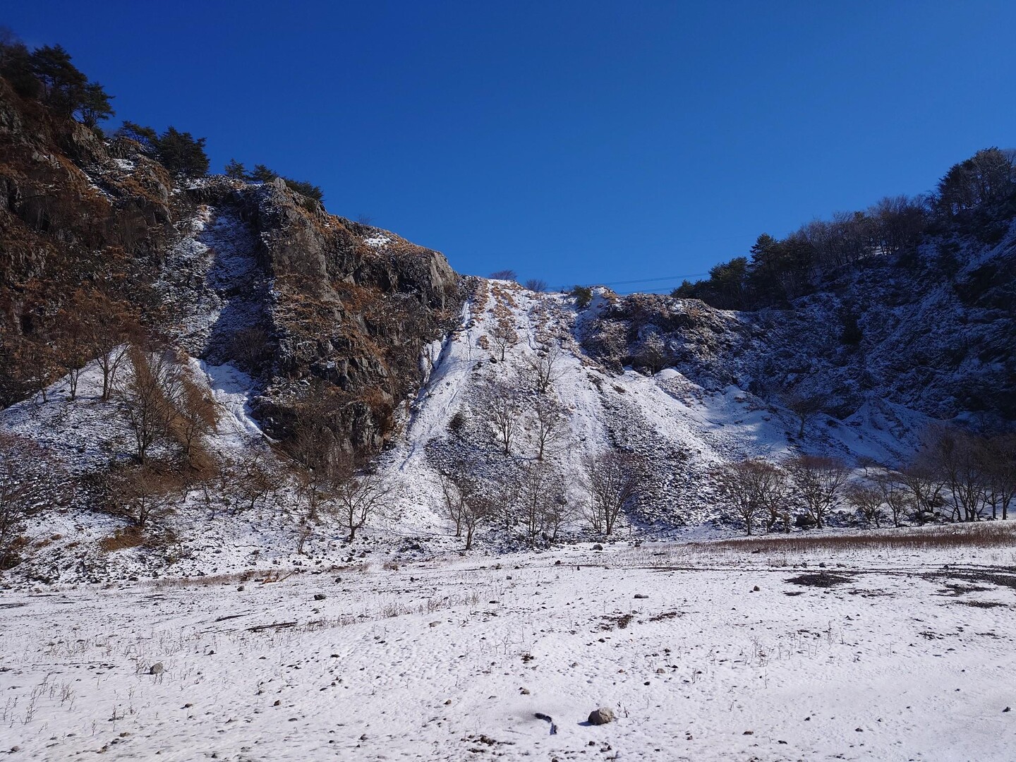Pハンの日(3) イブキ・イワス・比婆山・高取山西峰・高取 / palさんの霊仙山の活動データ | YAMAP / ヤマップ