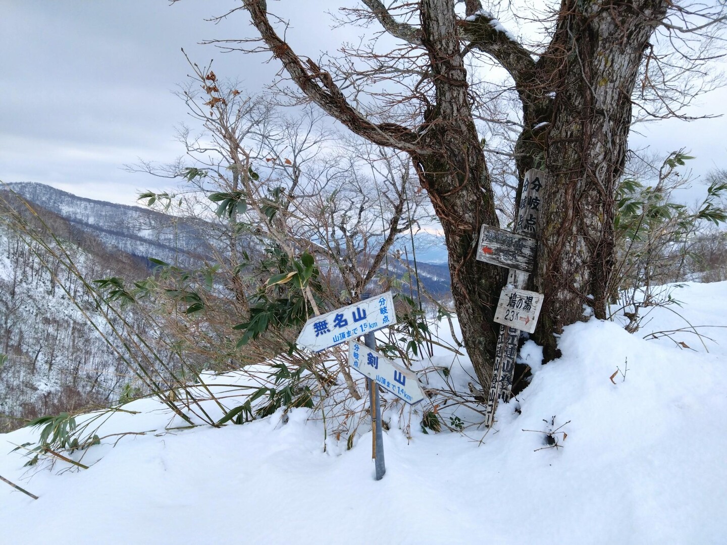 ☀予報だよ‼ ツボde音江山 / kiyo-ibaさんの音江山・沖里河山の活動データ | YAMAP / ヤマップ