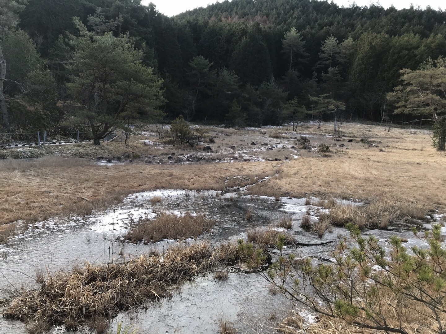 屏風山 / kato8686さんの屏風山の活動データ | YAMAP / ヤマップ