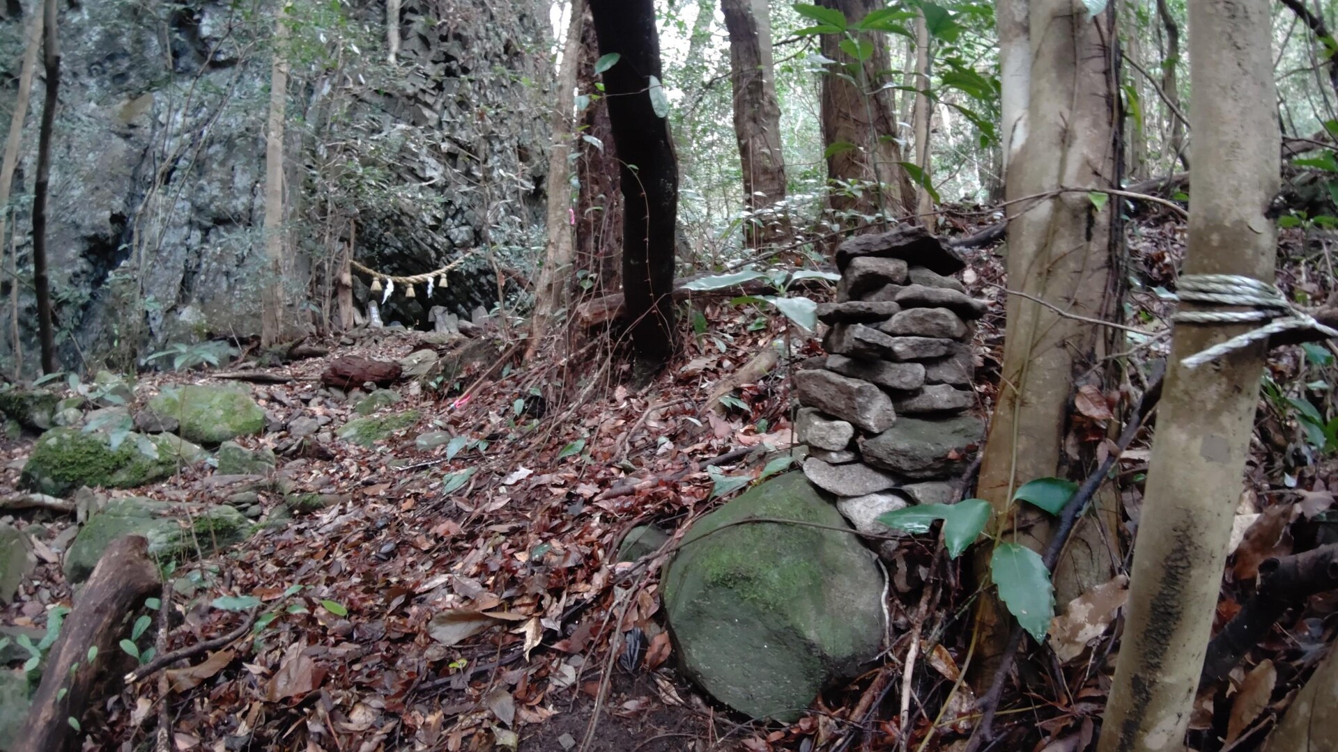 八方ヶ岳-2024-01-01 / nyさんの八方ヶ岳の活動データ | YAMAP / ヤマップ