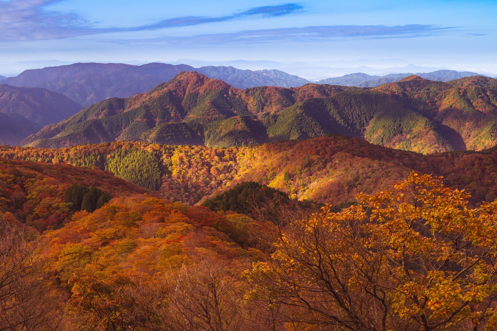 秋空の下、鮮やかな紅葉三彩の御池岳2021.10.30 / keiさんの藤原岳・御池岳の活動データ | YAMAP / ヤマップ