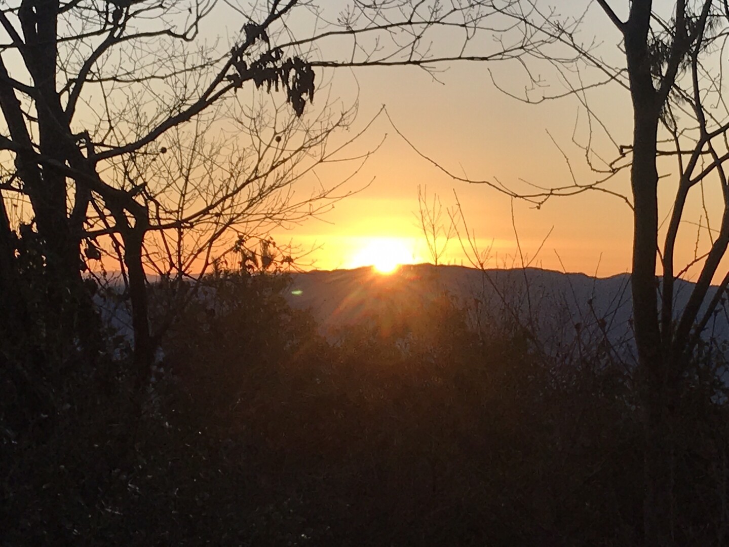 2019年初日の出、弥勒山 / kato8686さんの春日井三山・弥勒山・大谷山・道樹山の活動データ | YAMAP / ヤマップ