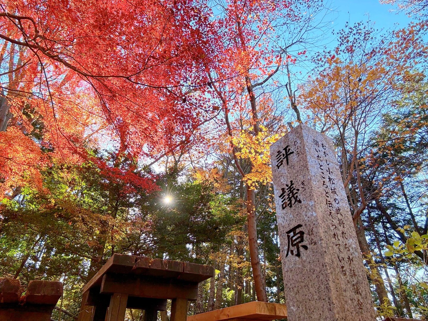 評議原🍁城山湖を一周 / nyaoさんの高尾山・陣馬山・景信山の活動データ | YAMAP / ヤマップ