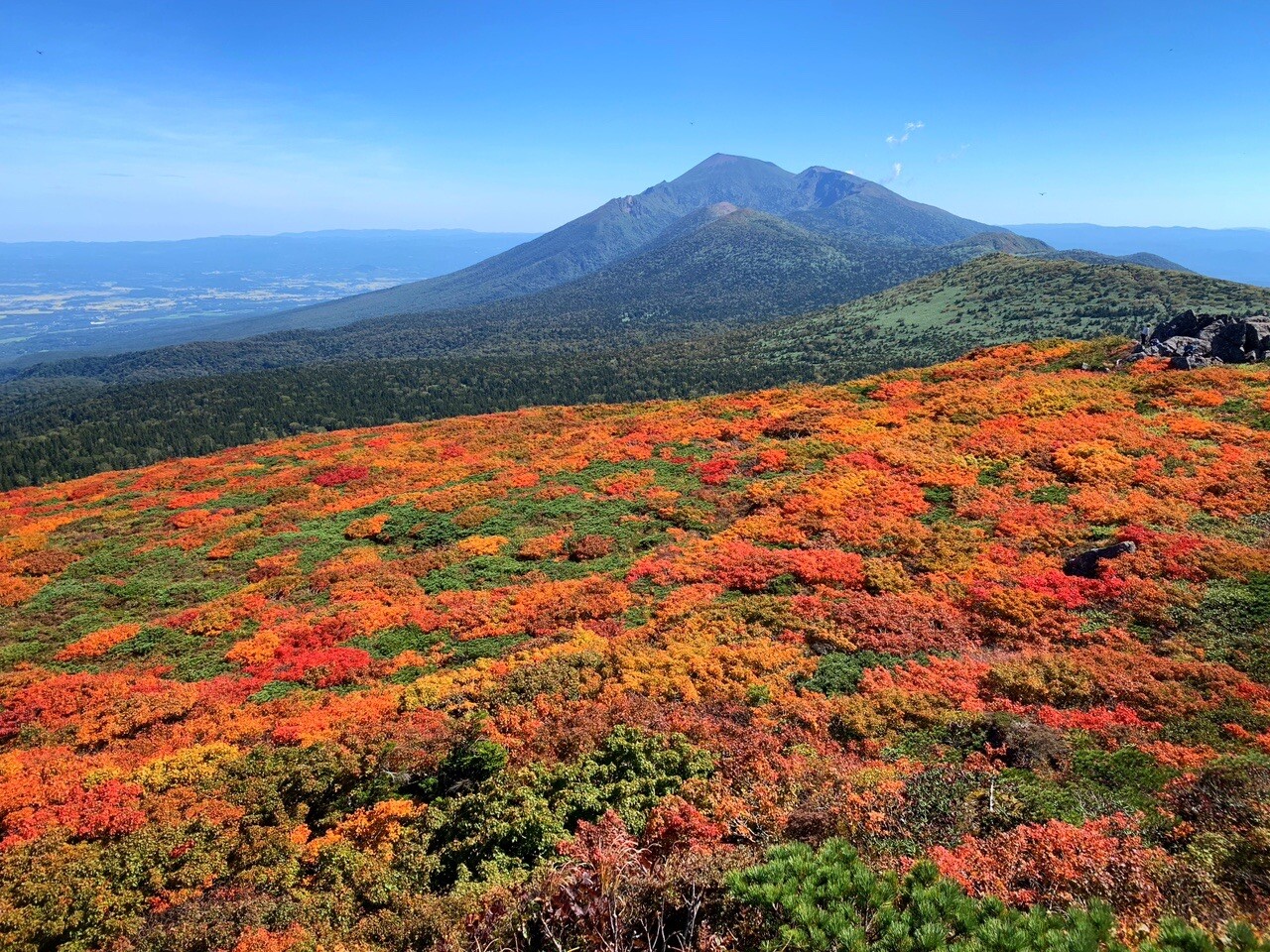 三ッ石山 / annaさんの三ッ石山・大深岳・諸桧岳の活動データ | YAMAP / ヤマップ