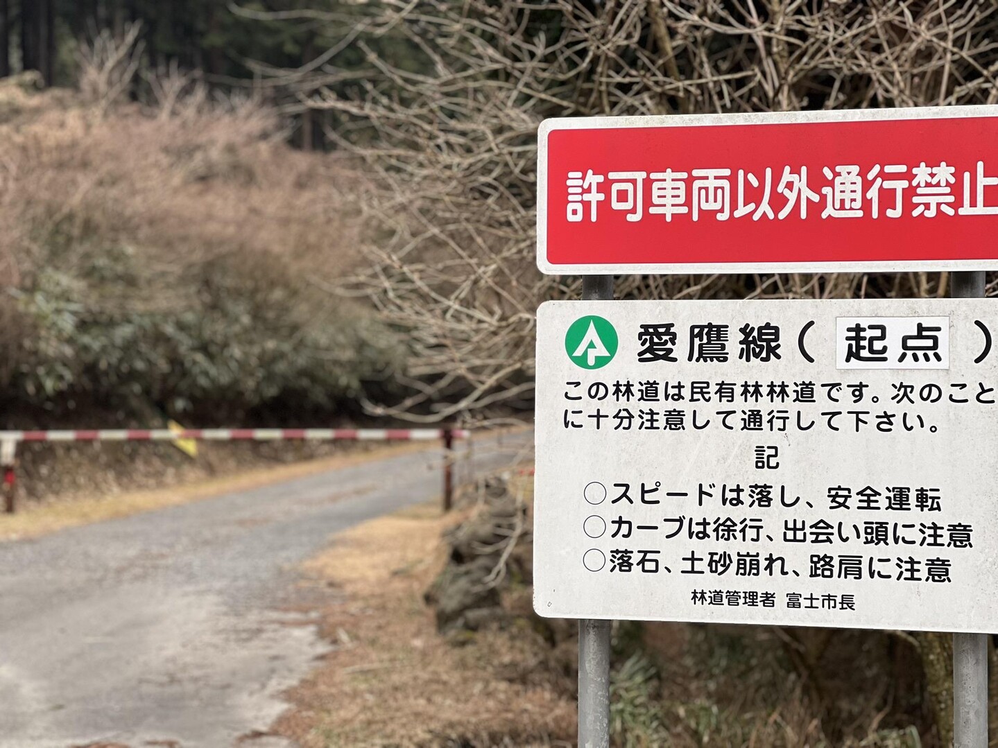 越前岳 / teruさんの愛鷹山・大岳・黒岳の活動データ | YAMAP / ヤマップ