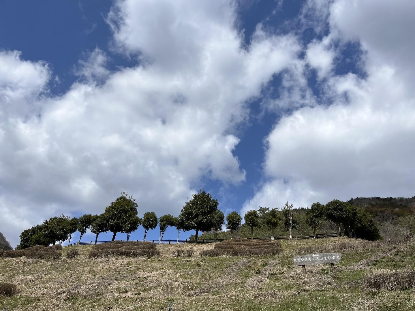 烏帽子山 / masuminさんの烏帽子山の活動データ | YAMAP / ヤマップ