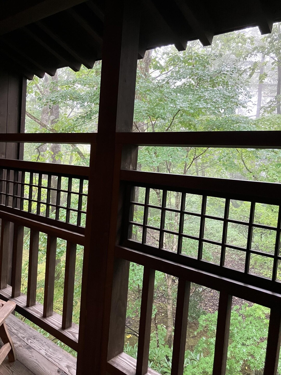 天気予報は☁️なのに、朝から今もバシャバ... / Rei-chanさんのモーメント | YAMAP / ヤマップ