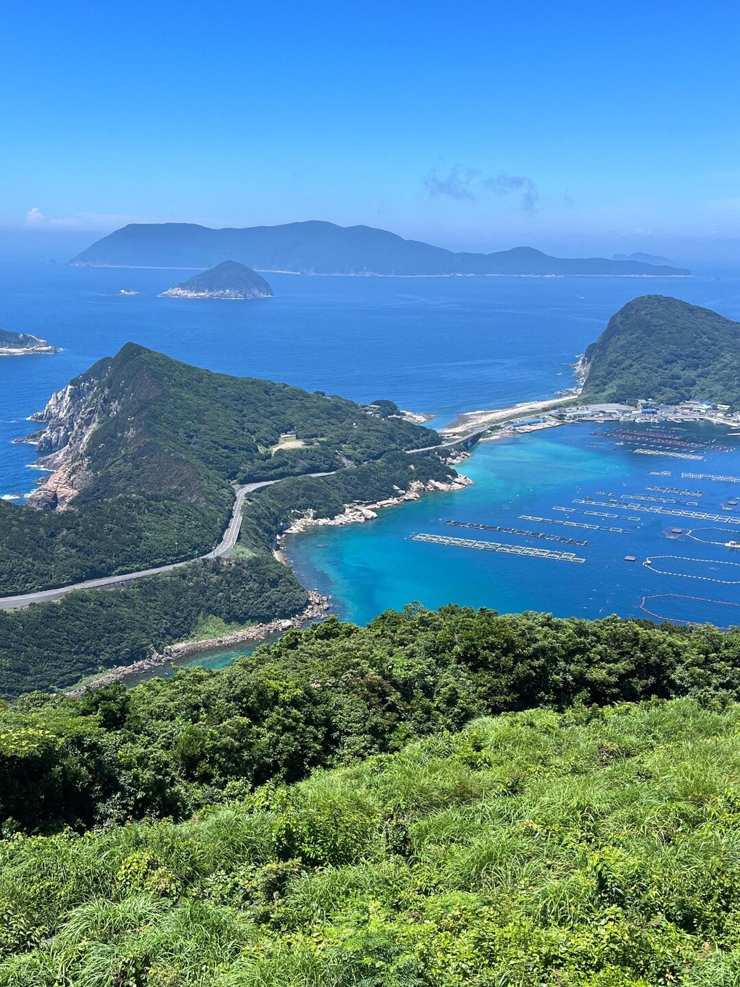 大堂山、柏島ウォーキング / leoleonさんの大堂山の活動データ | YAMAP / ヤマップ