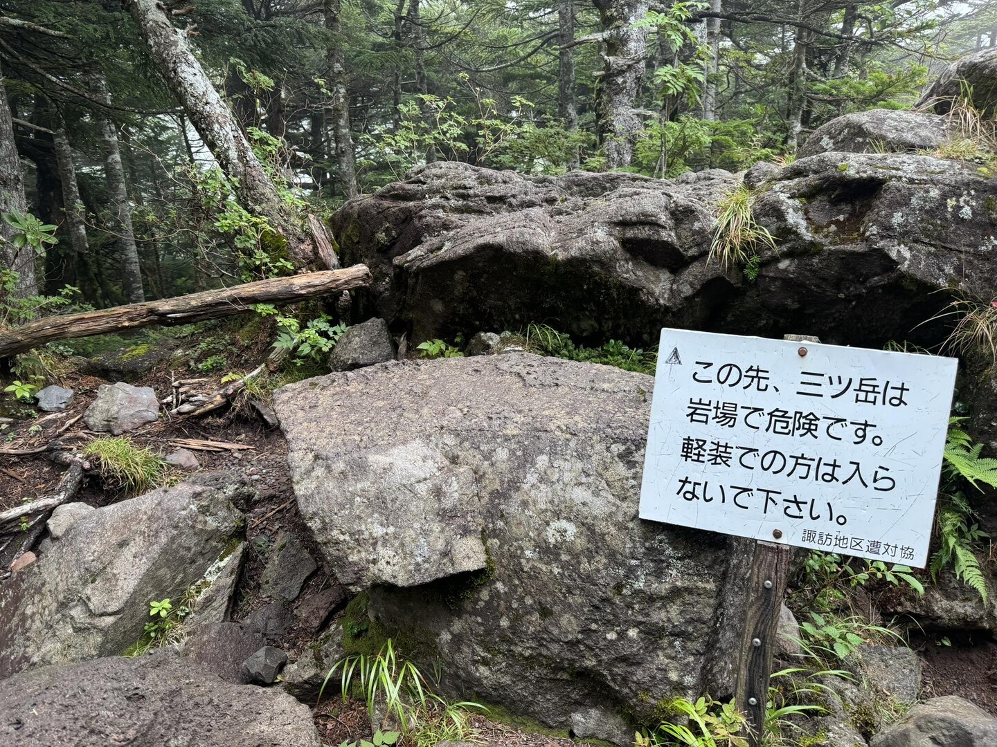 yumiさんの投稿したフィールドメモ | YAMAP / ヤマップ