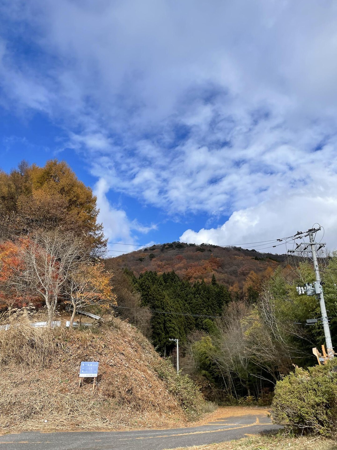 久しぶりに移ヶ岳へ / sammyくんさんの移ヶ岳の活動データ | YAMAP / ヤマップ