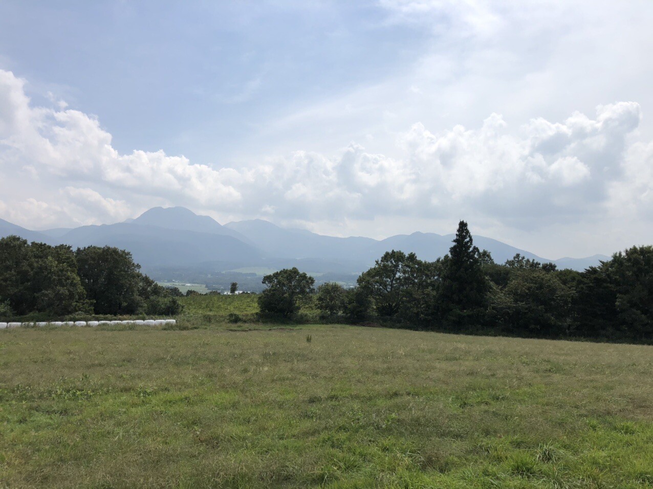 朝日台 / kinさんの九重町の活動データ | YAMAP / ヤマップ