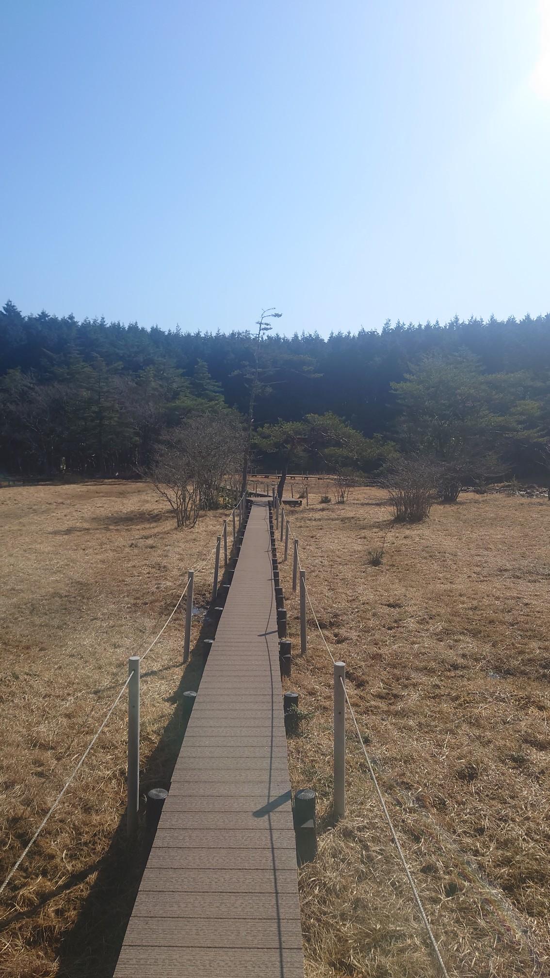 屏風山20250412 / Anavelさんの屏風山の活動データ | YAMAP / ヤマップ