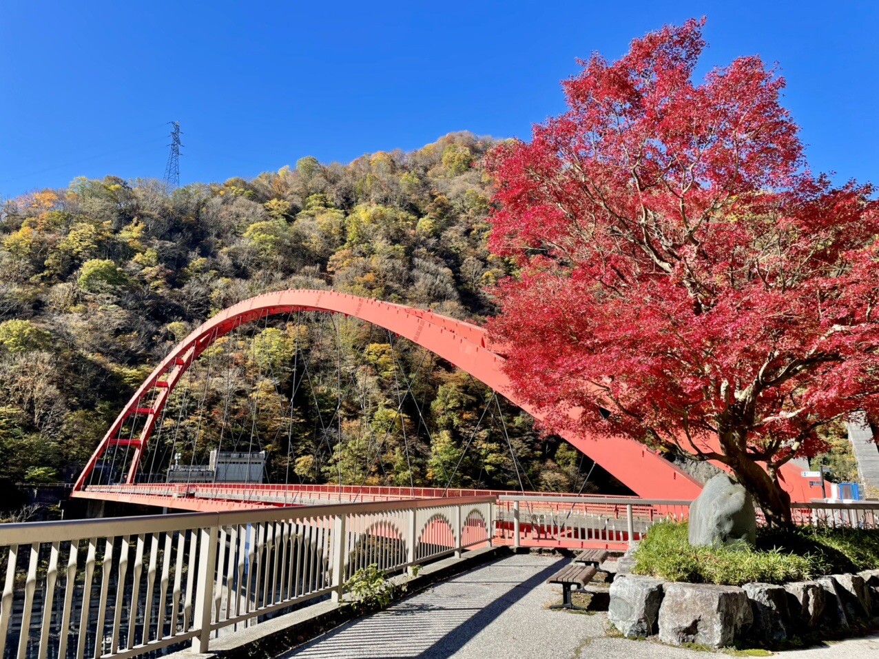 宇奈月温泉の紅葉もキレイに色付いています... / toshiさんのモーメント | YAMAP / ヤマップ