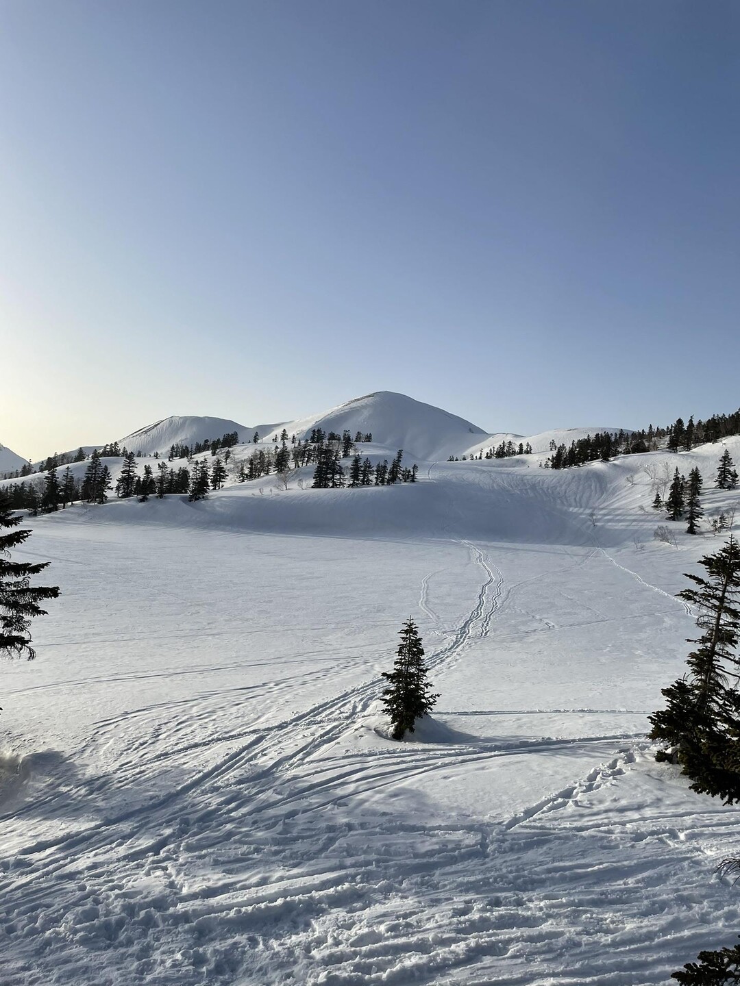 三田原山・火打山 / shunさんの妙高山・火打山の活動データ | YAMAP / ヤマップ