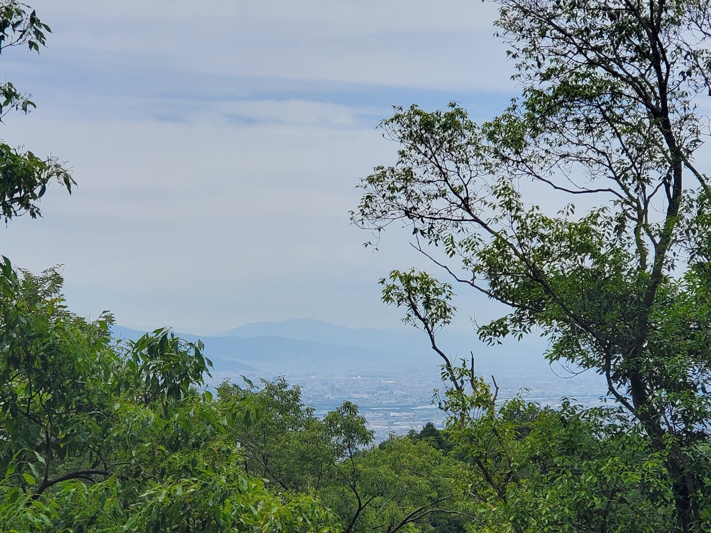 2022.06.13(月) 05:34 / ひじきさんのモーメント | YAMAP / ヤマップ