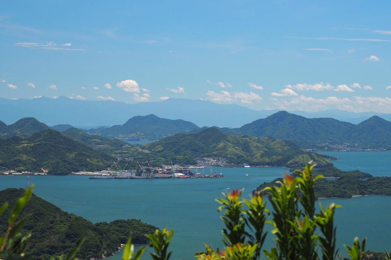 鳴滝城山・鳴滝山 / cocoさんのみはらし連山・鳴滝山・鉢ヶ峰の活動データ | YAMAP / ヤマップ