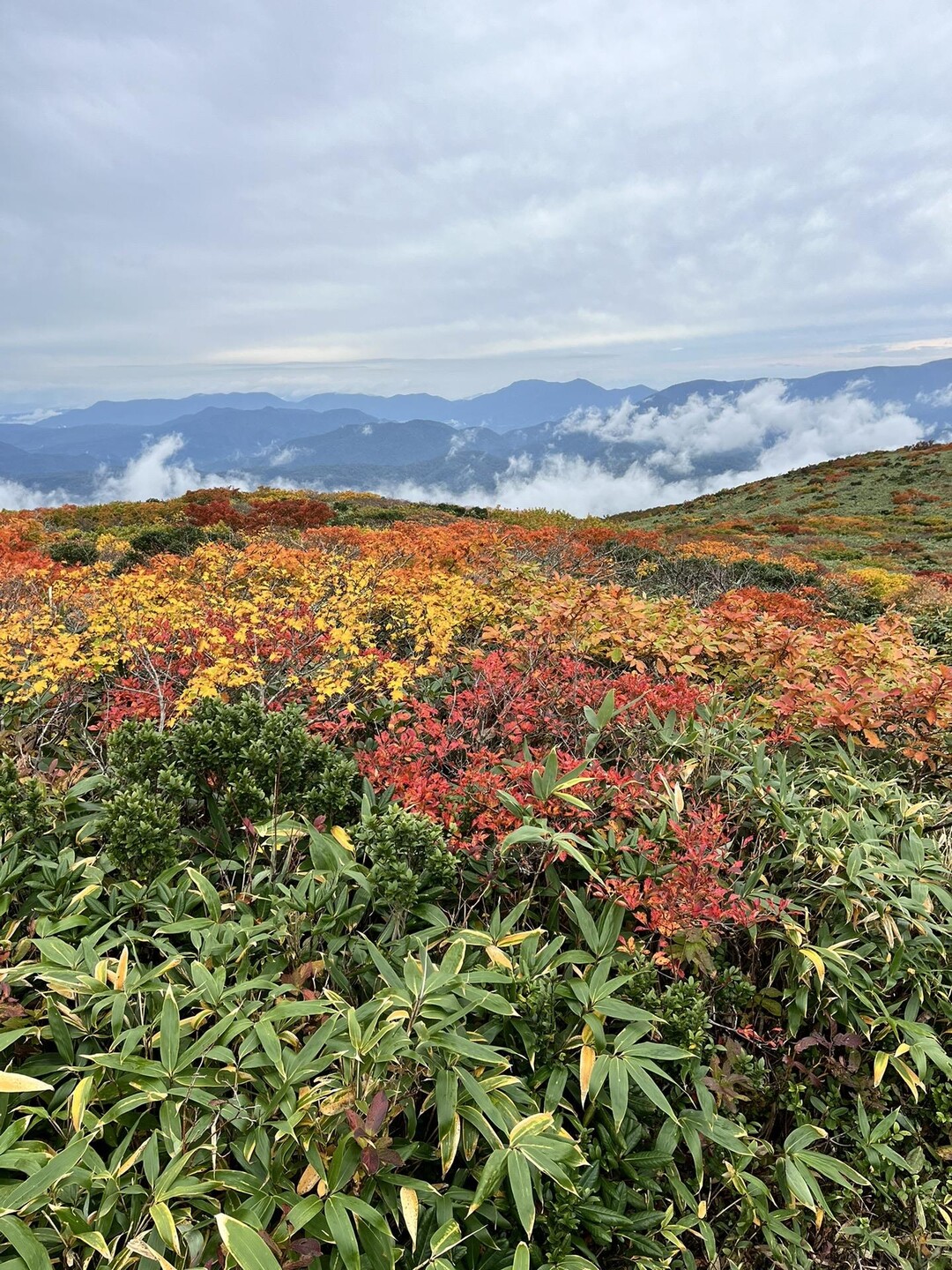 栗駒山(須川岳)・秣岳 / はまーさんの栗駒山（須川岳）・秣岳・虚空蔵山の活動データ | YAMAP / ヤマップ