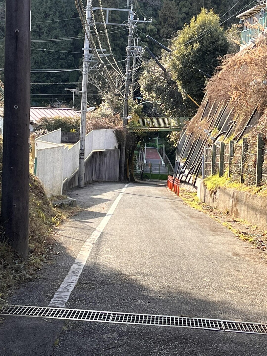 marukoさんの投稿したフィールドメモ | YAMAP / ヤマップ