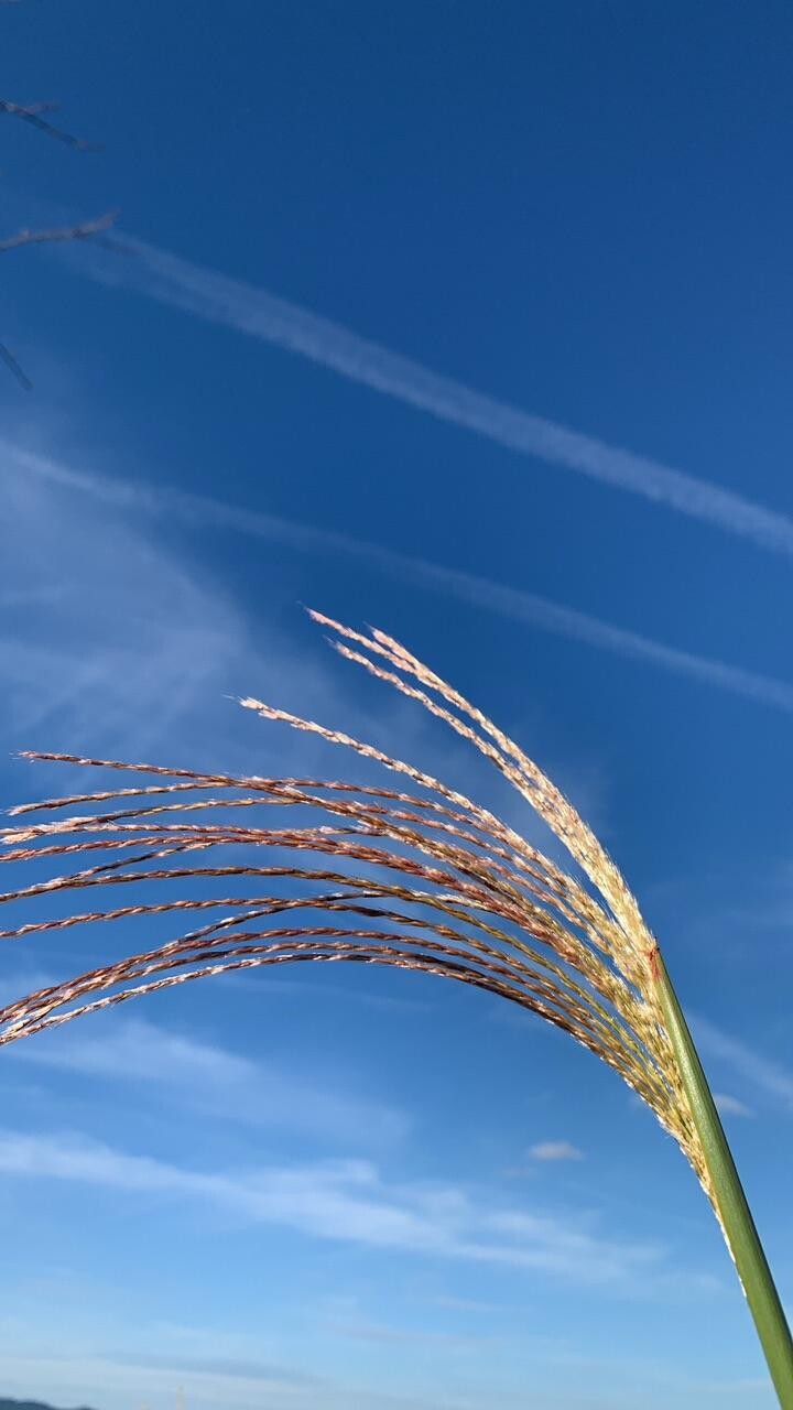 rokoのページ | YAMAP / ヤマップ