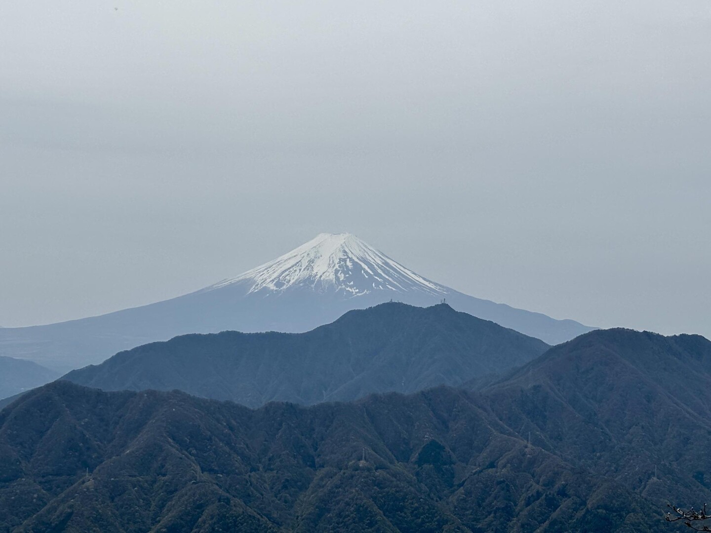 寂ショウ尾根から縦走してやまと天目温泉まで / ken-sukeさんの滝子山・大谷ヶ丸・笹子雁ヶ腹摺山の活動データ | YAMAP / ヤマップ