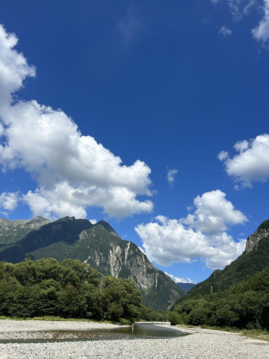 上高地⛰️大正池〜河童橋〜明神池 / akeppさんのウォーキングの活動データ | YAMAP / ヤマップ
