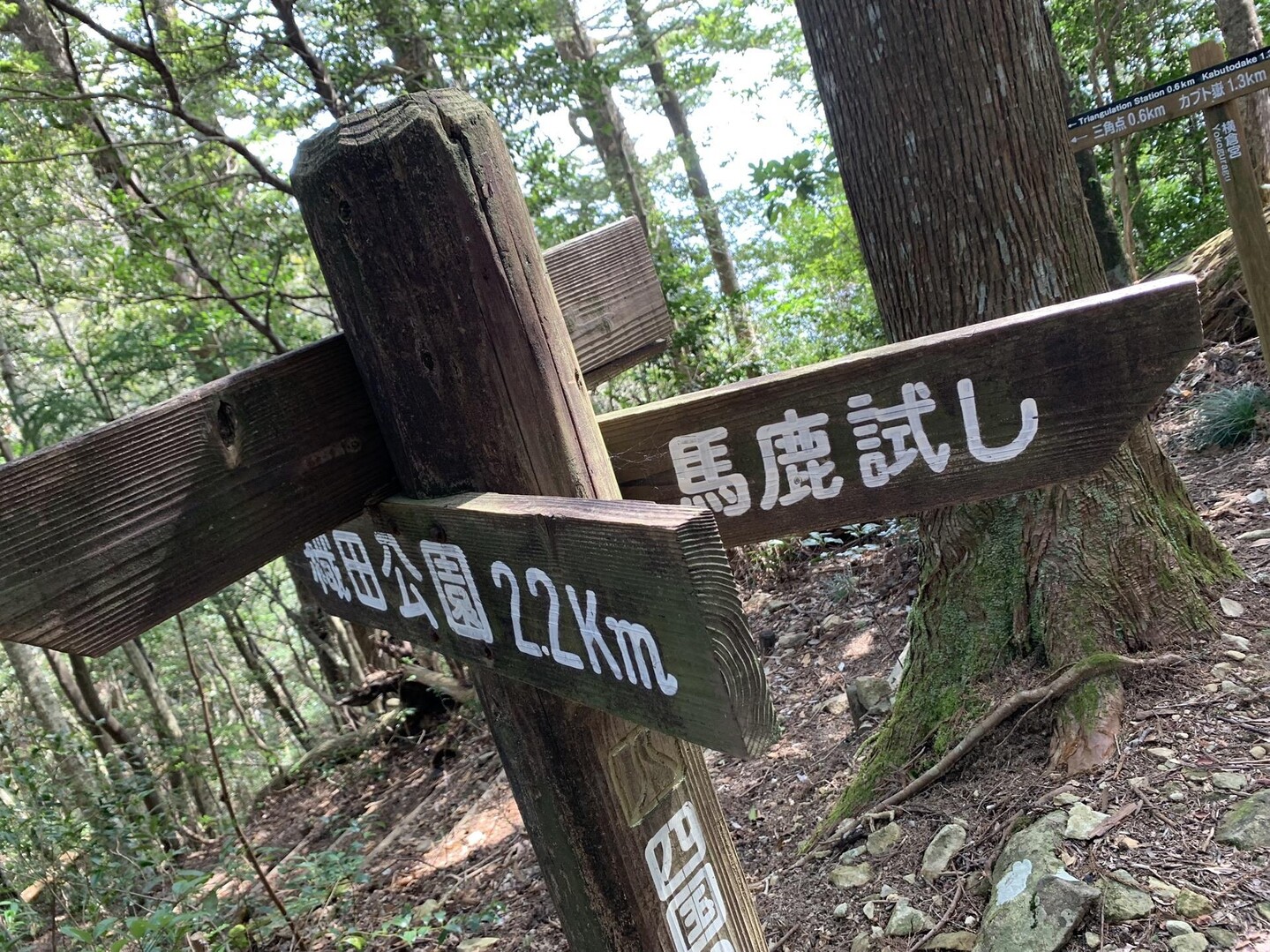 横倉山-2024-03-04 / やまDjさんの横倉山の活動データ | YAMAP / ヤマップ