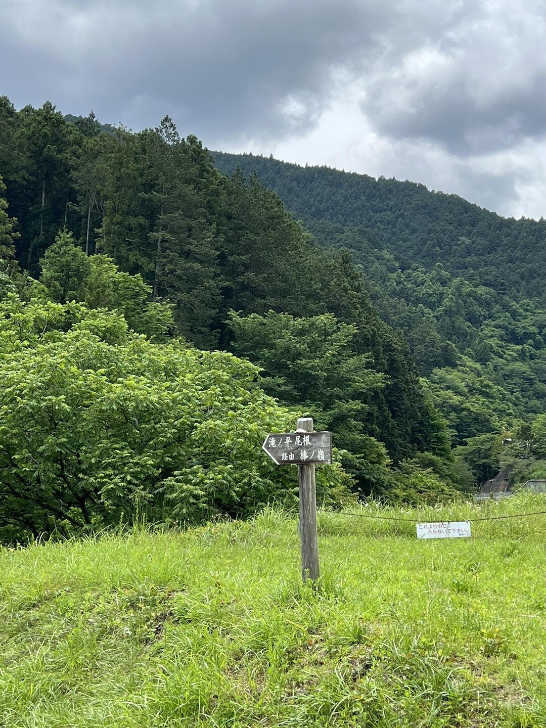 棒ノ折山（棒ノ嶺）-2024-05-30 / Kei Hanadaさんの棒ノ折山（棒ノ嶺）の活動データ | YAMAP / ヤマップ