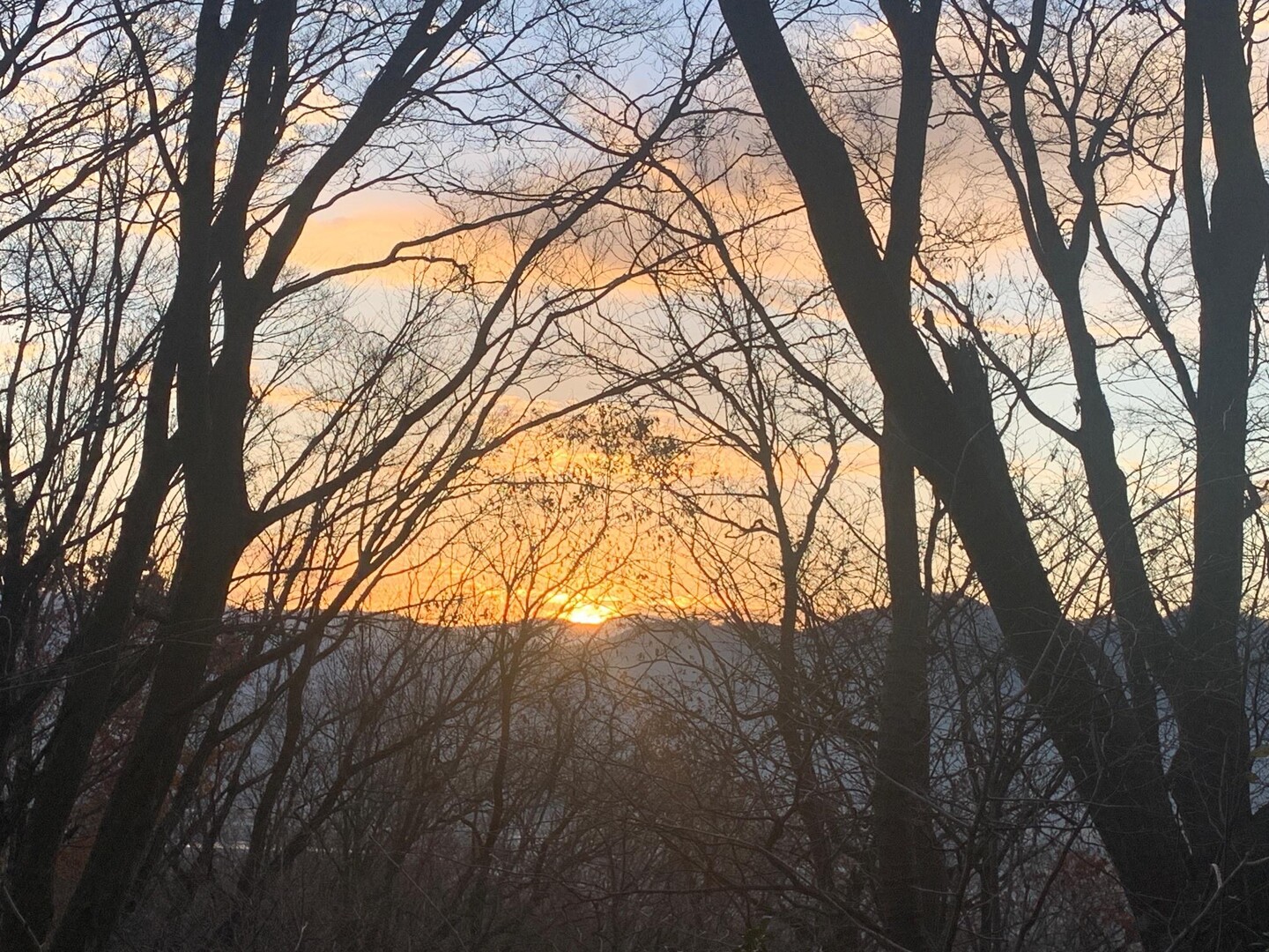 朝活は城山（65回目） / JOG太郎さんの城山・経ヶ岳・天神山の活動データ | YAMAP / ヤマップ