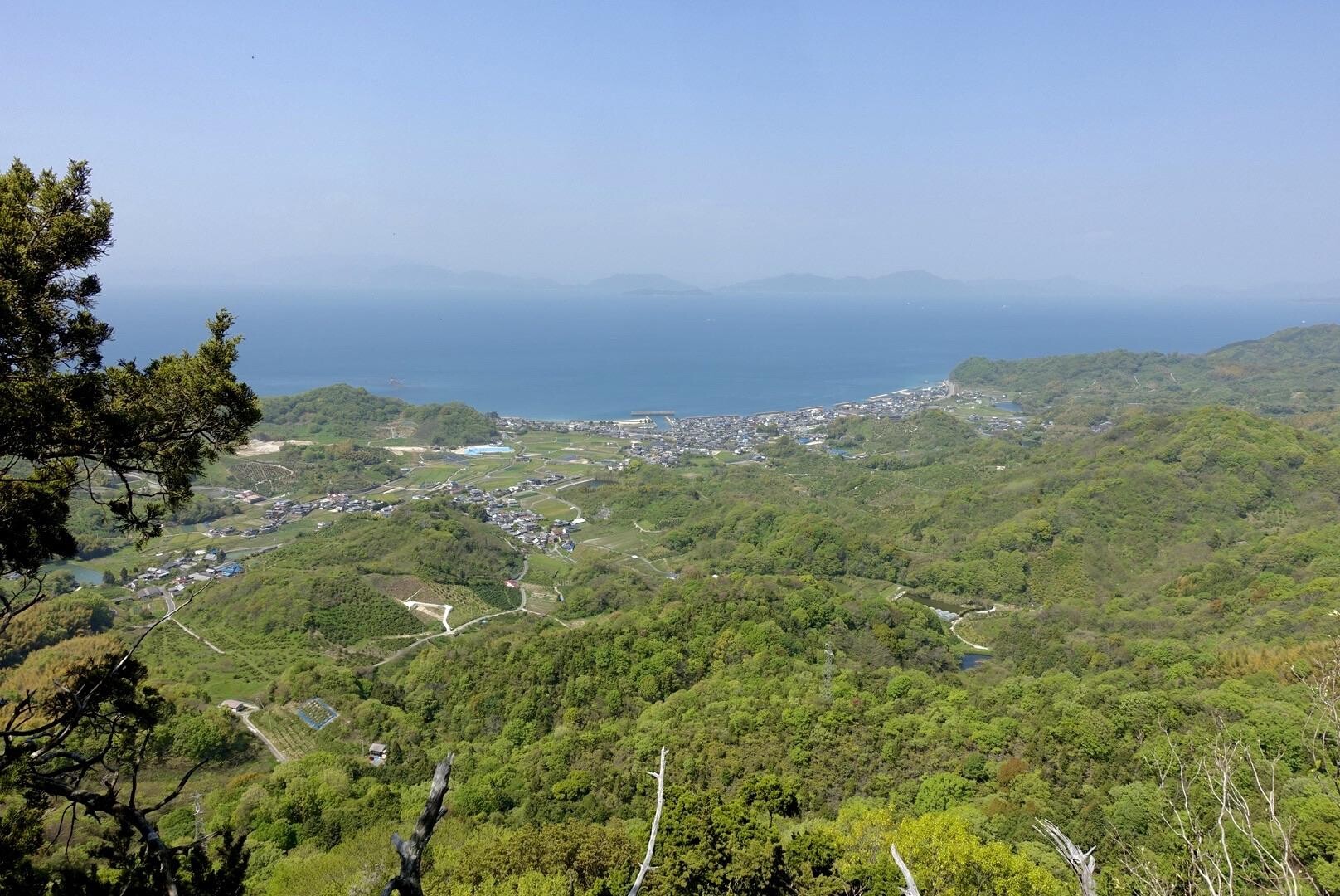 腰折山〜恵良山⛰帰りに新城山 / yuさんの恵良山・腰折山の活動データ | YAMAP / ヤマップ