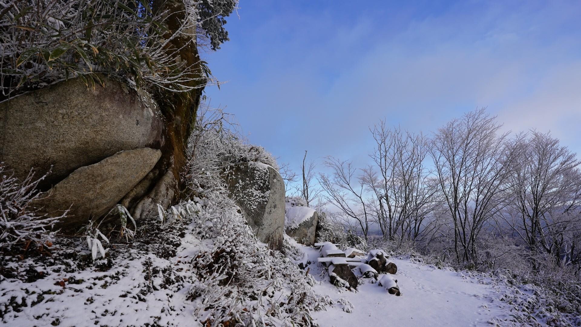蓬田岳2022.12.25 / ENAJIさんの蓬田岳の活動データ | YAMAP / ヤマップ