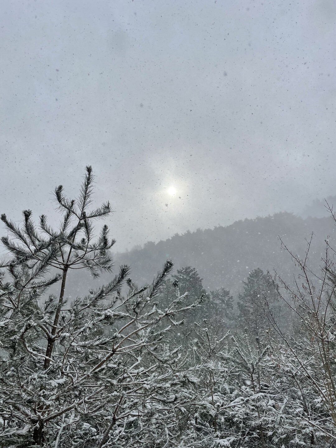 念仏ハゲ からの雨乞岳 行けず / nabettiさんの御在所岳（御在所山）・雨乞岳の活動データ | YAMAP / ヤマップ